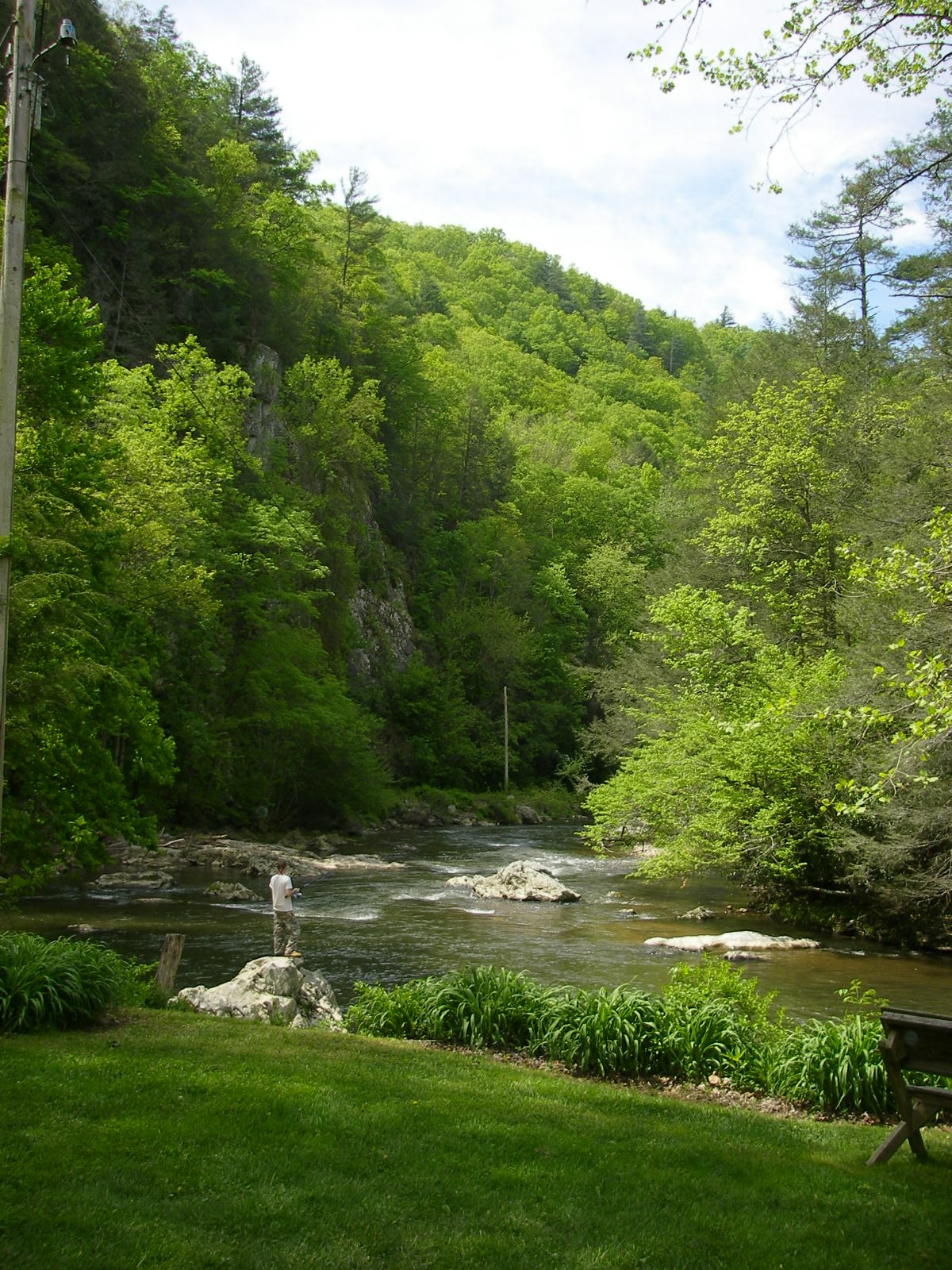 Living in Asheville, North Carolina: Local Hikes: Laurel River Trail