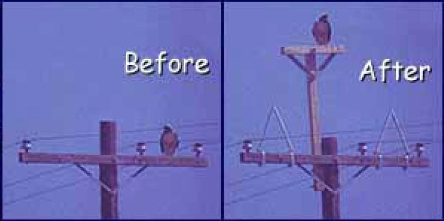 engineeringwork: Overhead Line Insulators