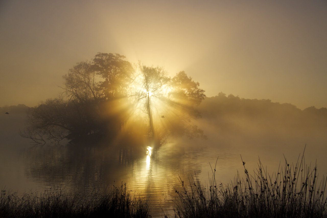 As I See It - David K Hardman Photography: Dawn over Richmond Park Lake ...