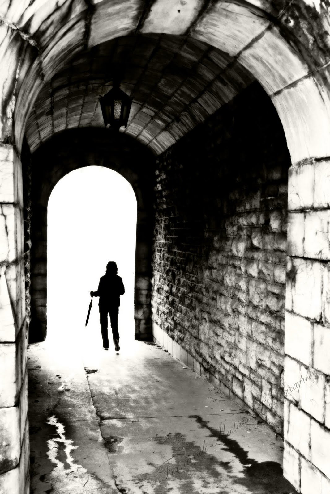 Fernando Matias Photography - Ottawa Ontario - Ottawa Wedding ...