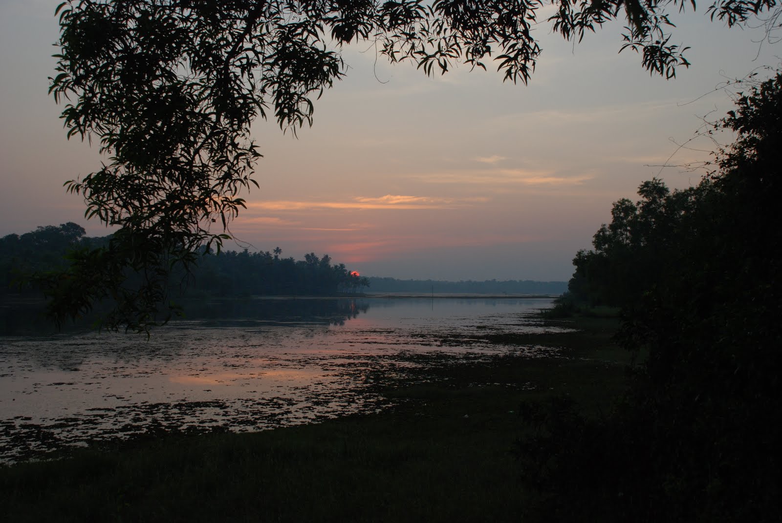 pavumba പാവുമ്പ: Pavumba Image Gallery