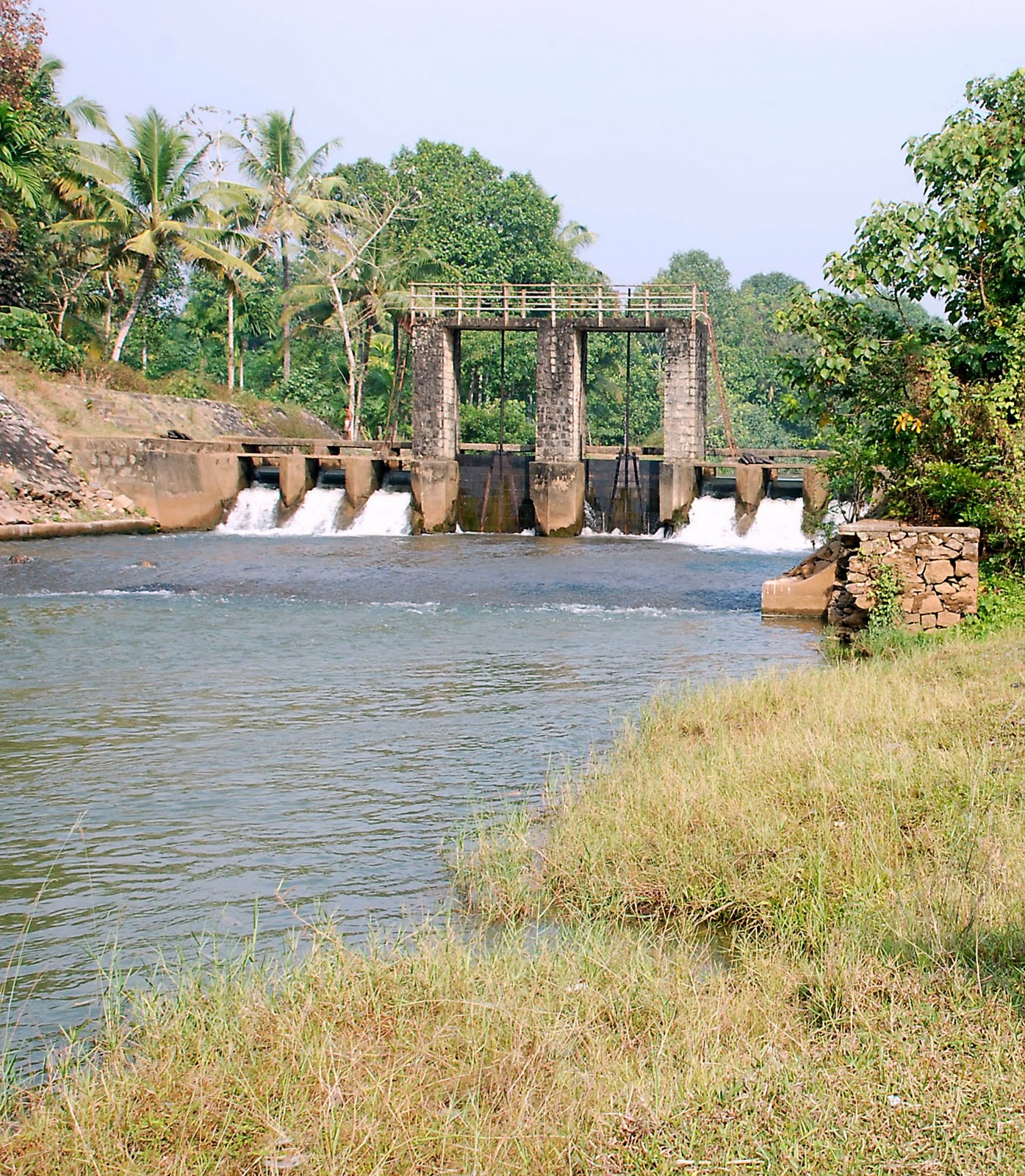 pavumba പാവുമ്പ: Pavumba Image Gallery