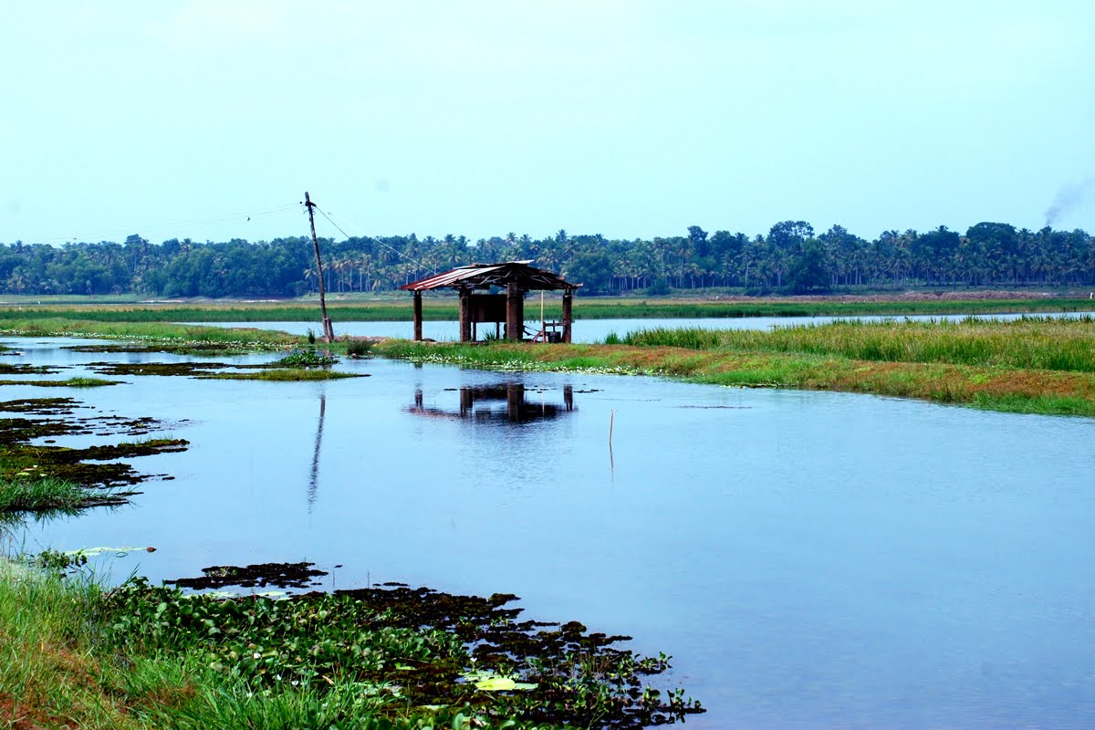 pavumba പാവുമ്പ: Pavumba Image Gallery