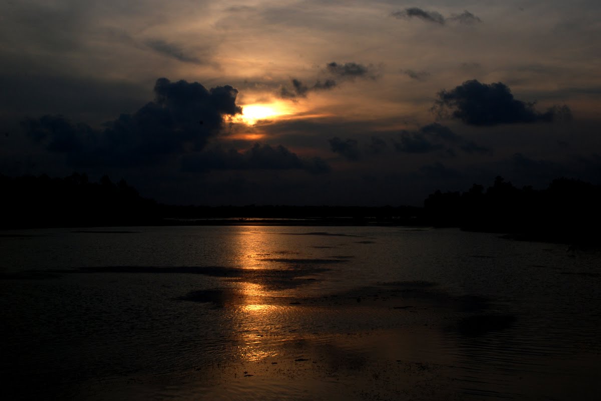 pavumba പാവുമ്പ: Pavumba Image Gallery