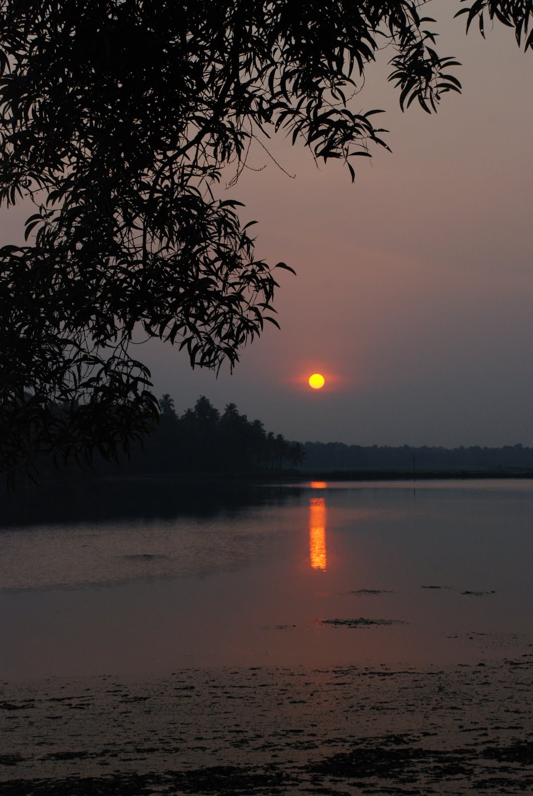 pavumba പാവുമ്പ: Pavumba Image Gallery