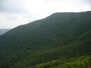 Venezuela 25 Cumbres: Nueva Esparta: Cerro El Copey