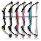 Archery How To Shoot