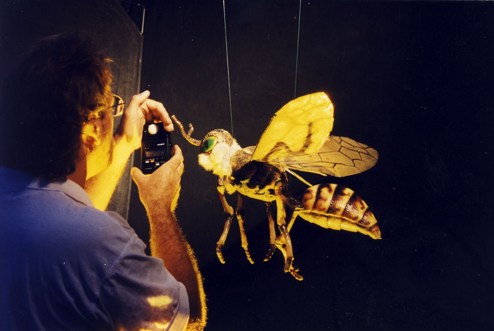 Greg Aronowitz: The Wasp Woman