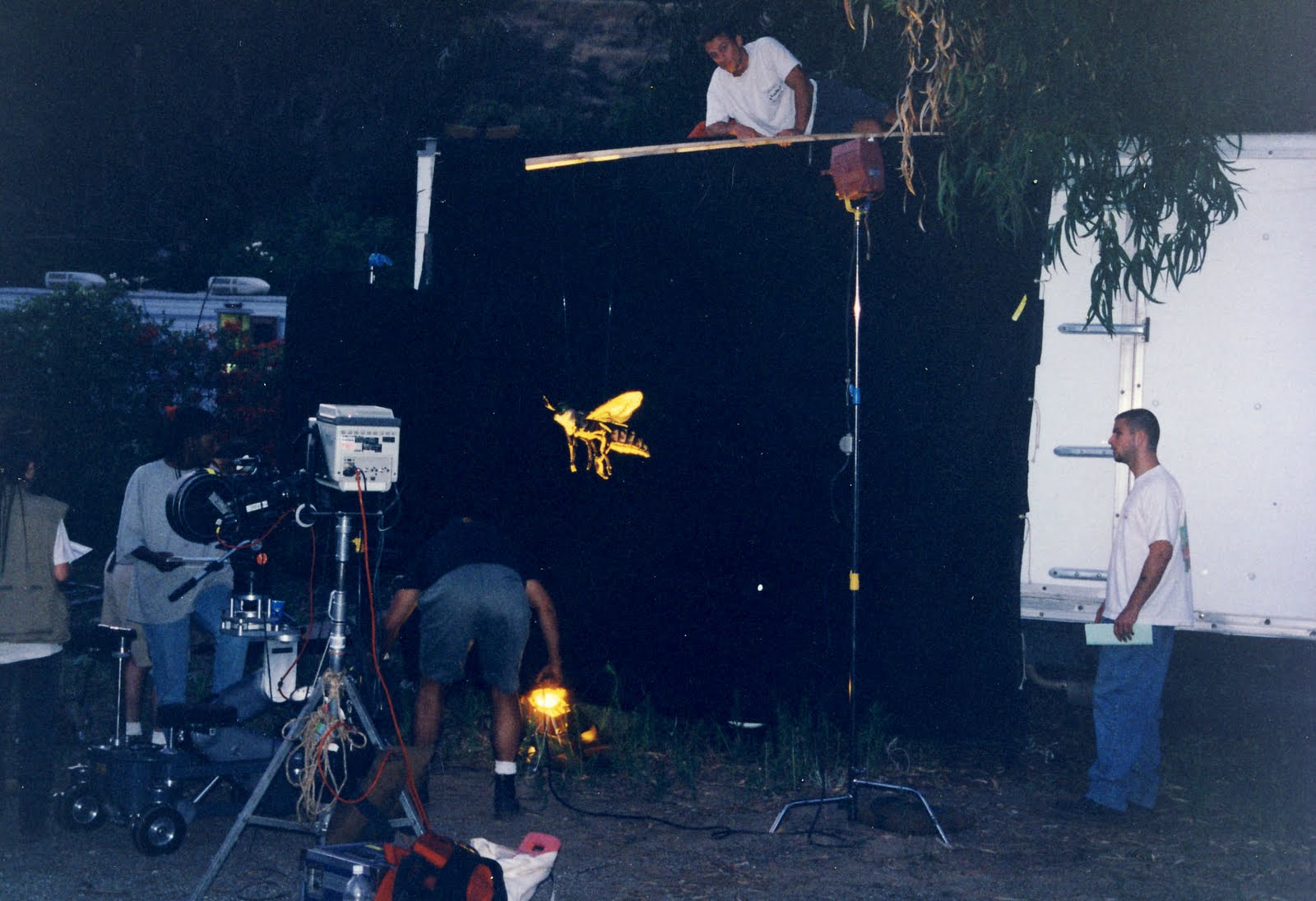 Greg Aronowitz: The Wasp Woman