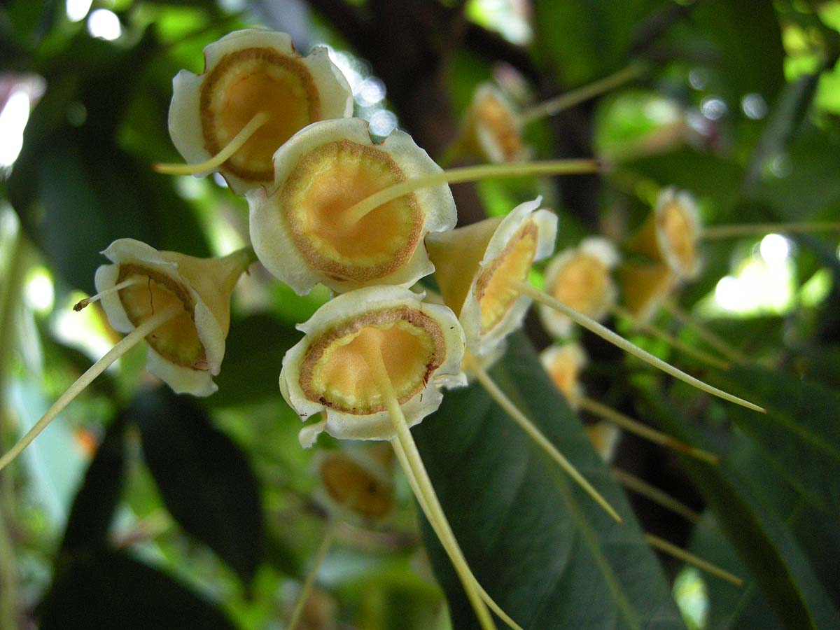 Fahrenheit minus 459 ( absolute zero): SBG revisited Wealth of the Rain ...