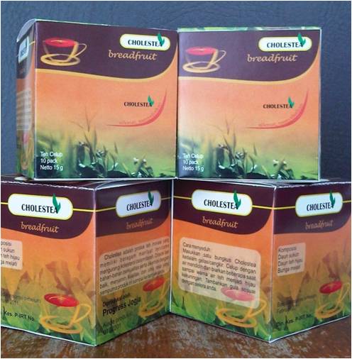 CHOLESTEA: Sukun (Artocarpus altilis )