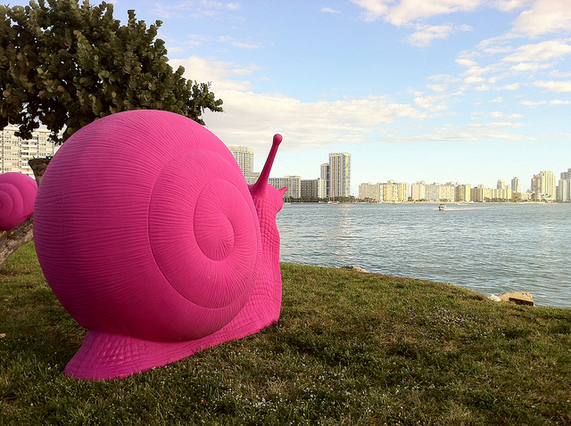 Giant Pink Snails Invade Miami ~ Kuriositas