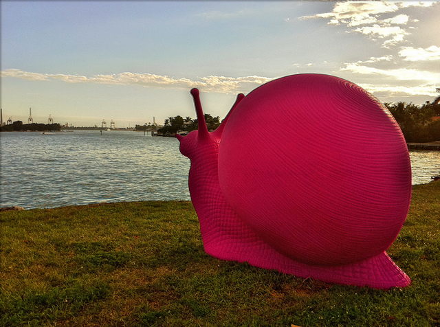 Giant Pink Snails Invade Miami ~ Kuriositas