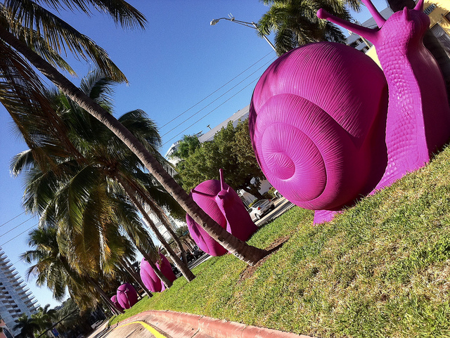 Giant Pink Snails Invade Miami ~ Kuriositas