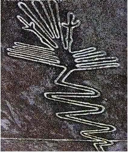 personal: NAZCA