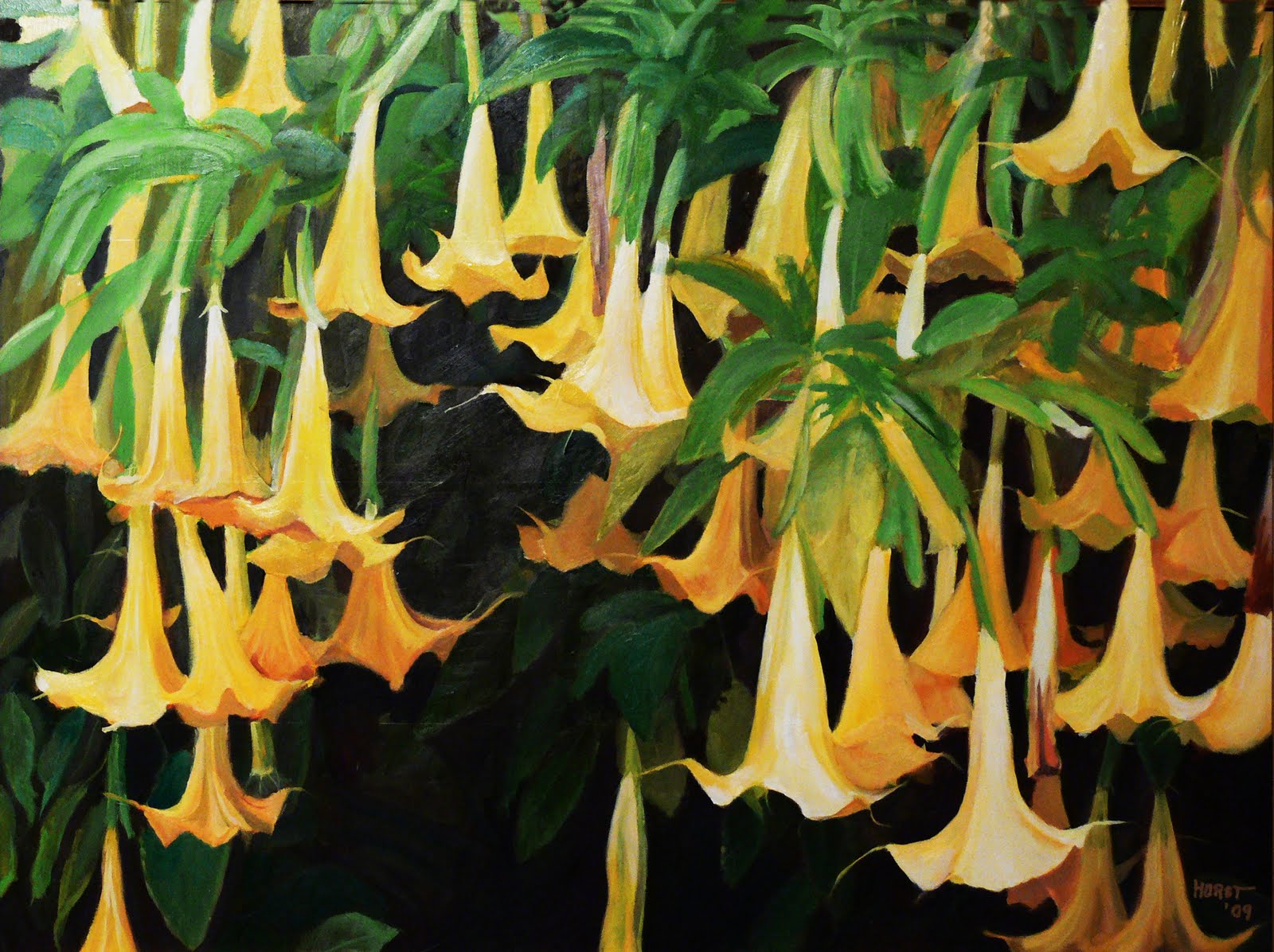 angel trumpet flower on Pinterest | Trumpets, Watercolor Painting and ...