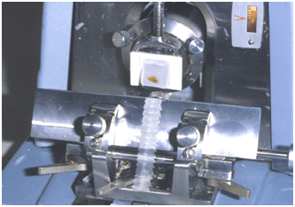 HistoloBlog: Tissue fixation and processing