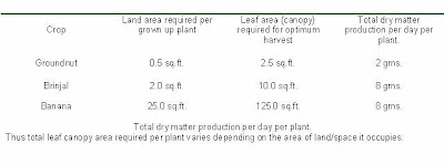 Natueco Farming Science: IMPORTANCE OF LEAF (CANOPY) AREA.