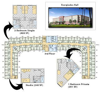 EAGLE PROFESSIONAL WRITERS: November 2009