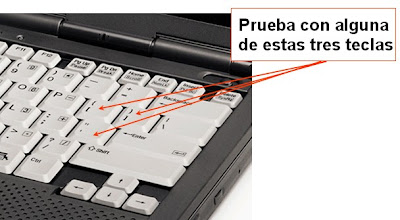 El cateo de la laucha: Tildes...