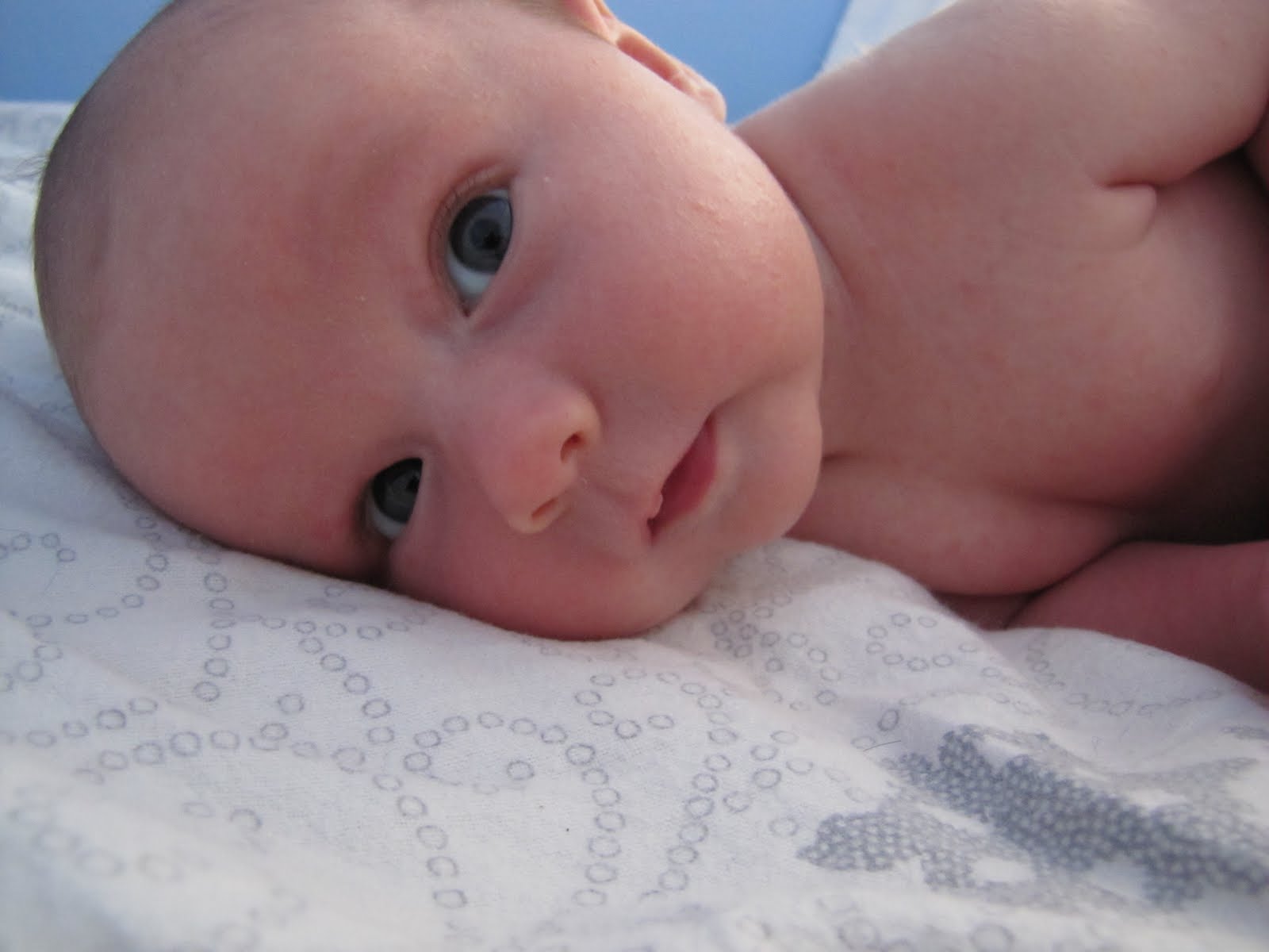 GLuv and Mighty Quinn: 8 Weeks old!