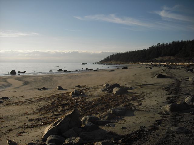 Savary Island: Todays Walk At Duck Bay