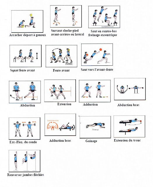 EPS au lycée Rimbaud d'Istres: Modalités et dossier Evaluation ...