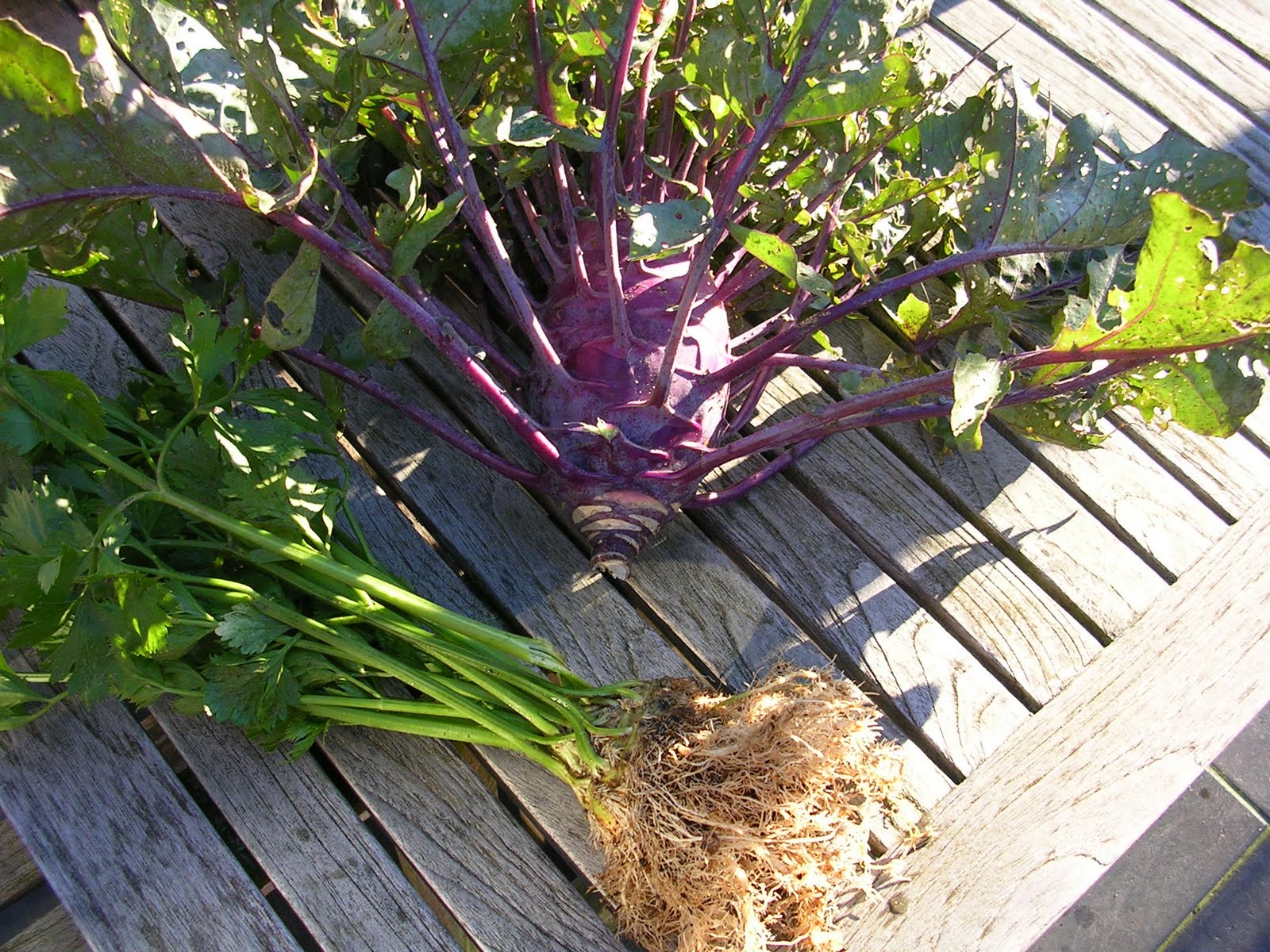 welvaertshof: Preisoep met koolrabi en knolselder