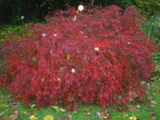 Jarvis House: Autumn Beauty on Long Island