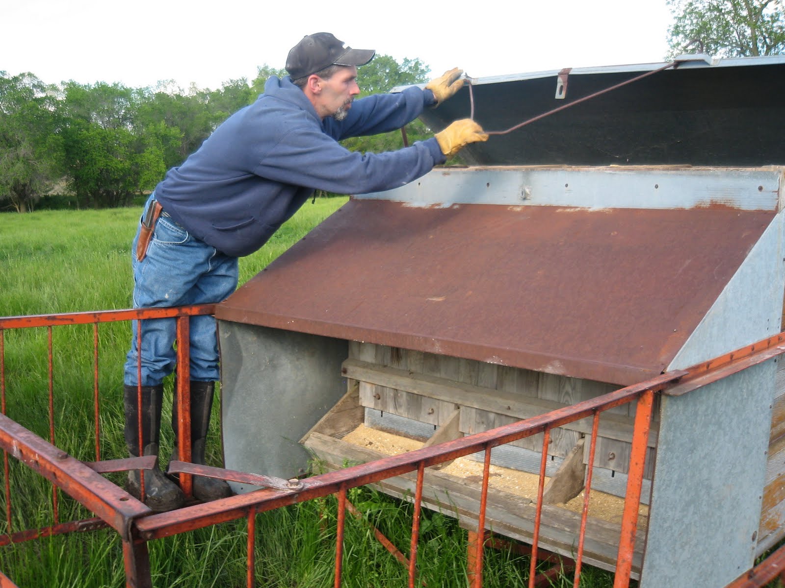Life on our Iowa Farm: Creep Feeding our Calves