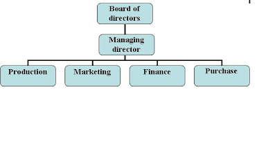 Business Studies for Class XII