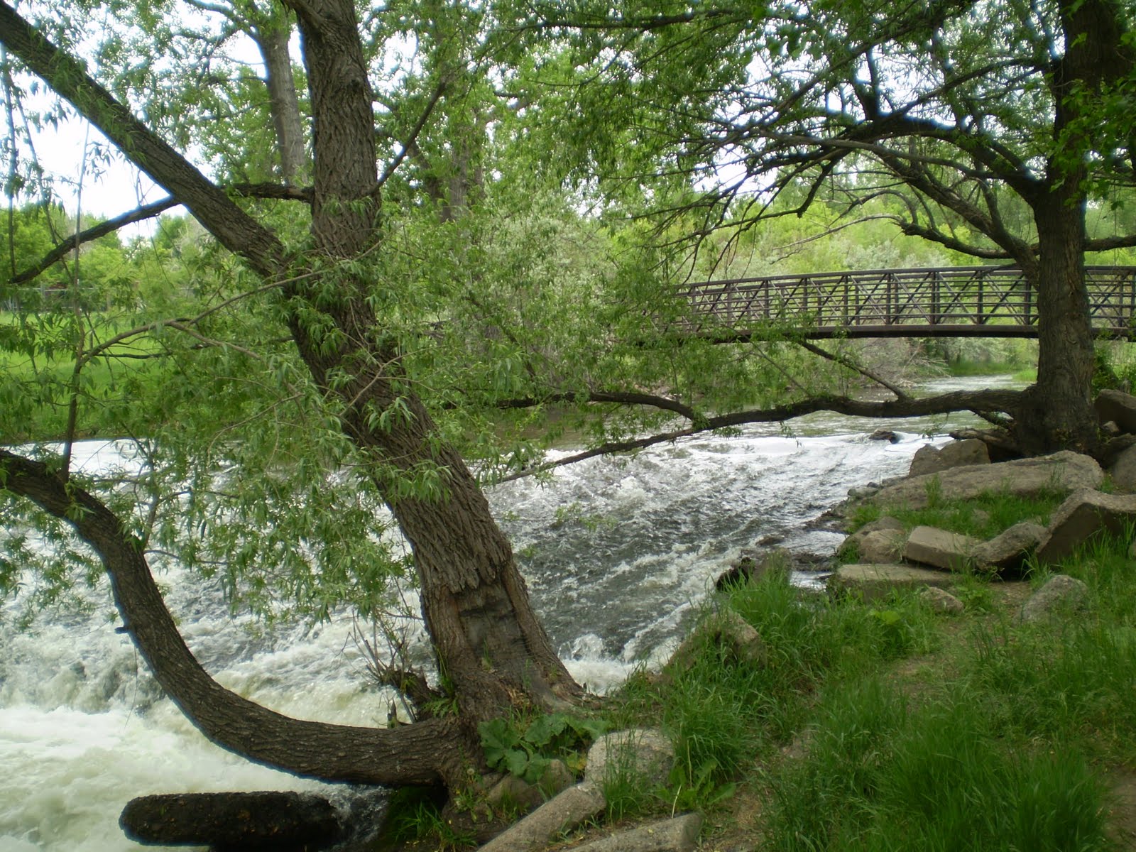 Denver's Bike Paths: JUNE 2010 Bear Creek Trail Exploration
