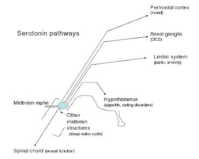 Biochemistry in Medical Conditions: Depressing Anti-Depressants