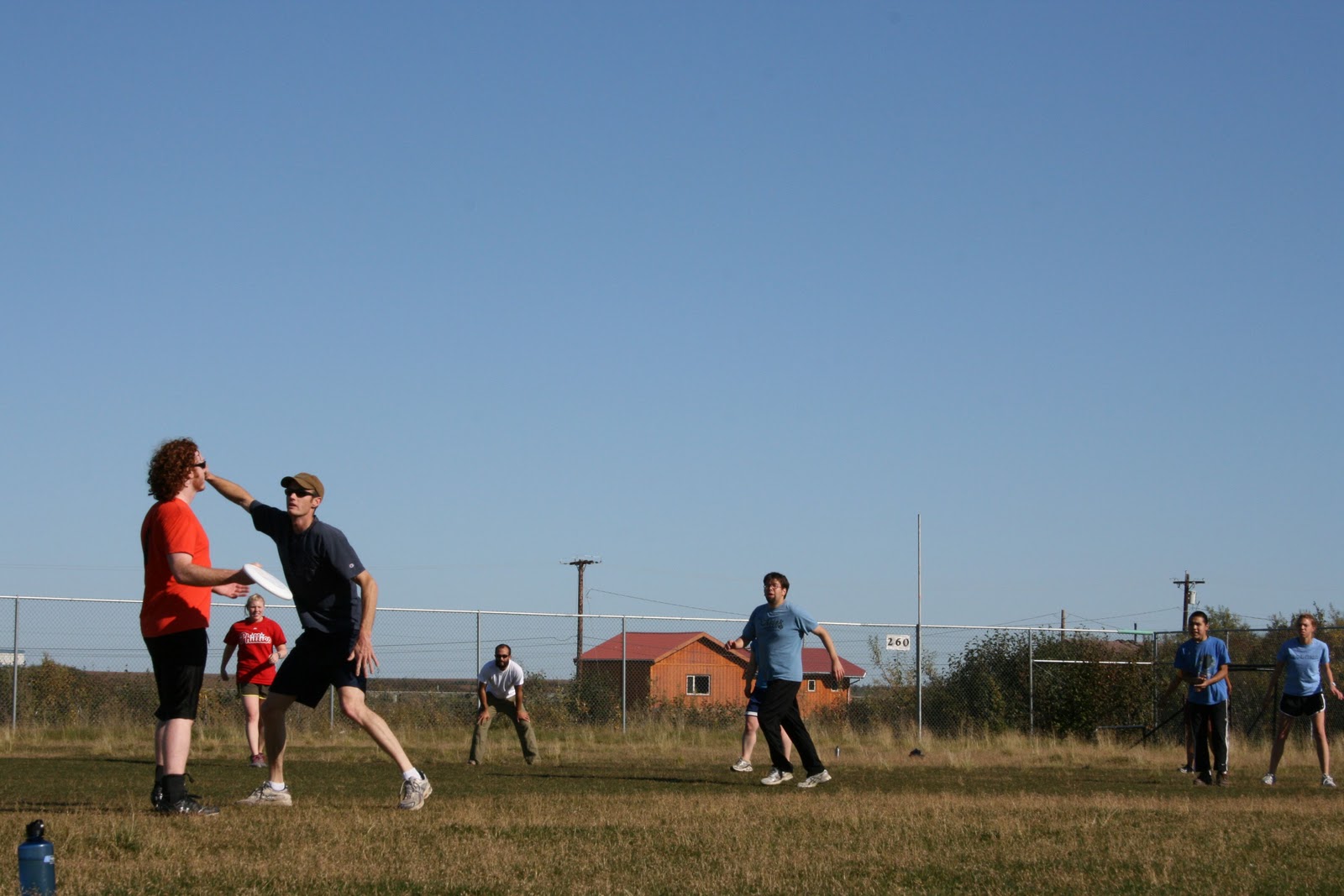 A Tail of 3 Z's and Their Humans