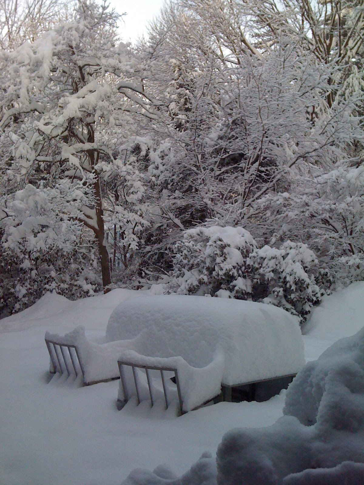 The Cool House: Winter: Scenes from Home