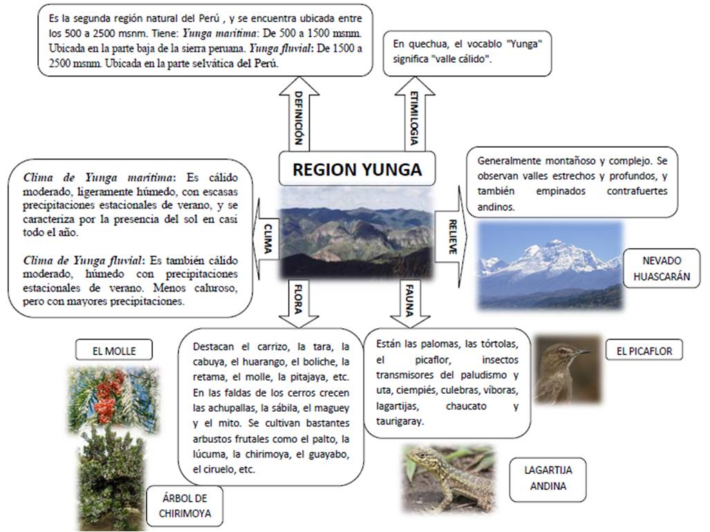 Tipos De Regiones Naturales