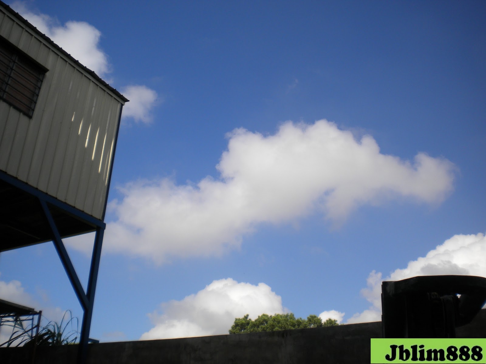 Swiftlets Talk JBLIM888: THE PERFECT CONTAINER SWIFTLET HOUSE IS BORN