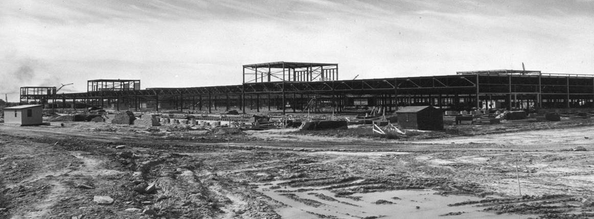 The History of CAW Local 707