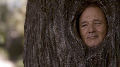 This tree grew around a stone sculpture of a face, making it appear as ...