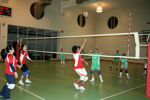 Olimpiadas del Seguro 2010: VOLEIBOL MIXTO