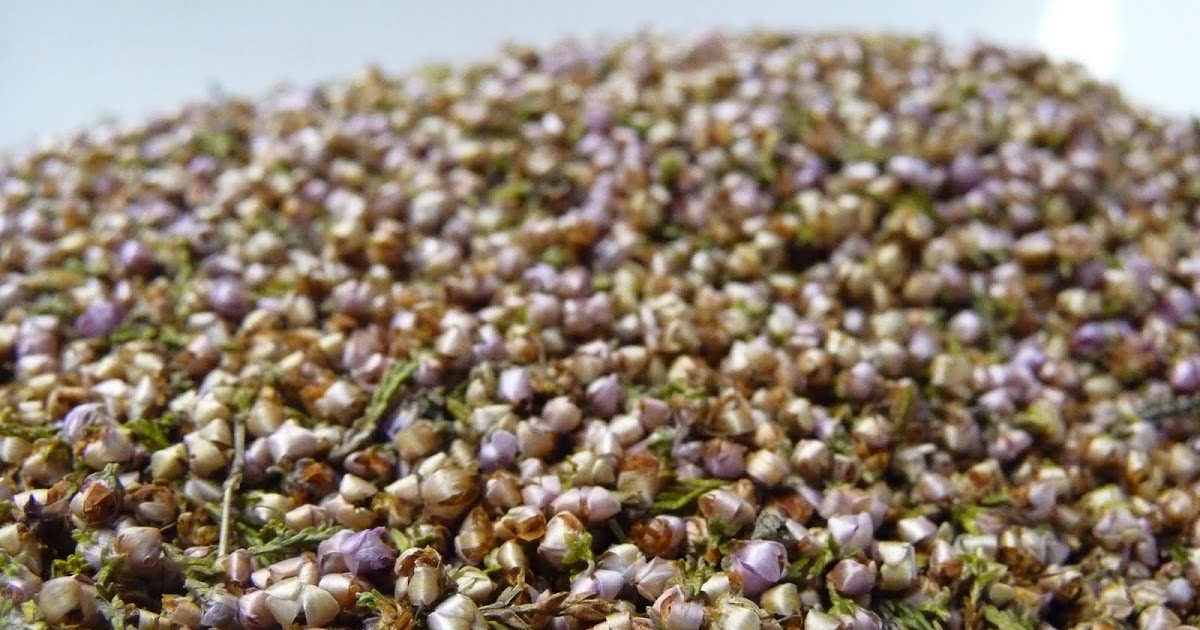 HopfenTreader: Heather Scotch Ale