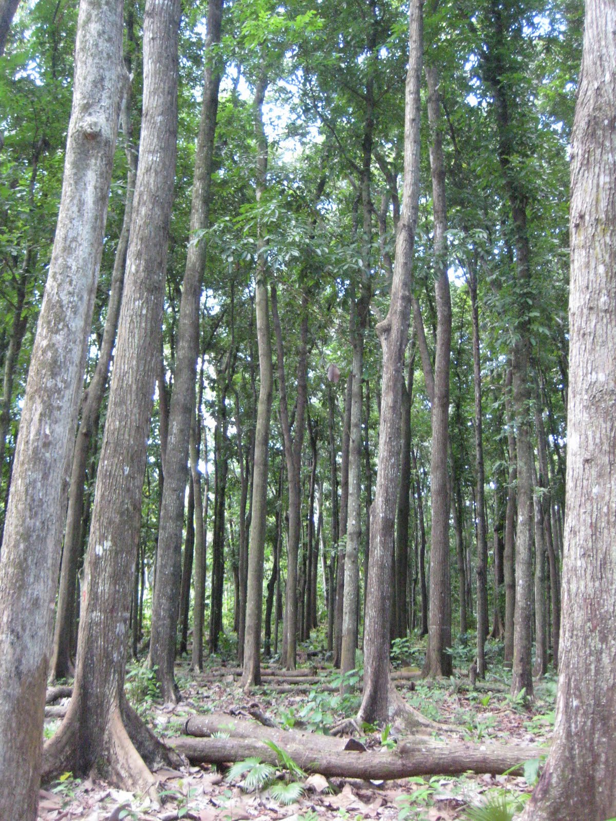 Duaw Mindanaw: GEF assesses biodiversity conservation efforts in Mindanao