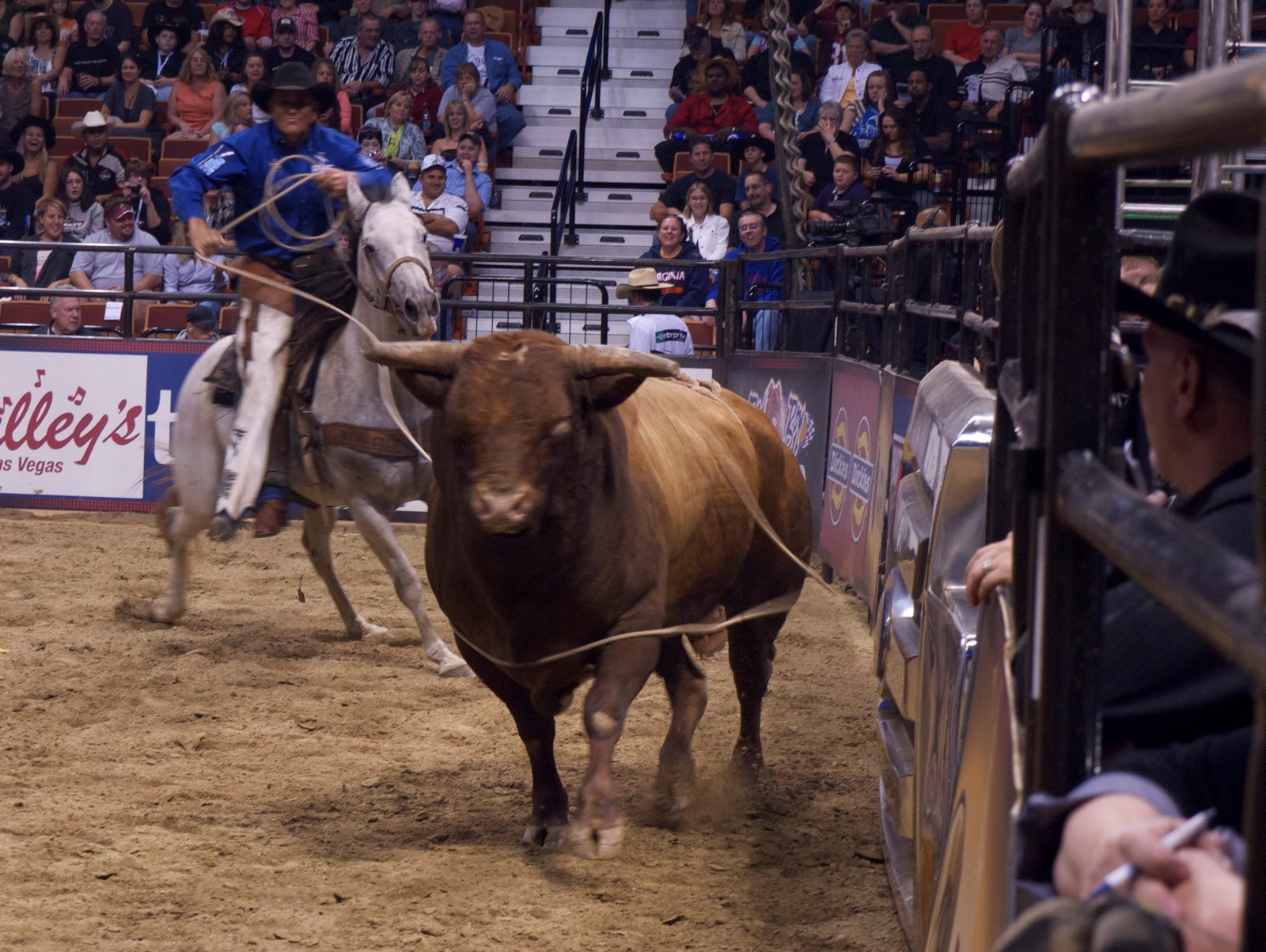 Rank: Bull Riding News