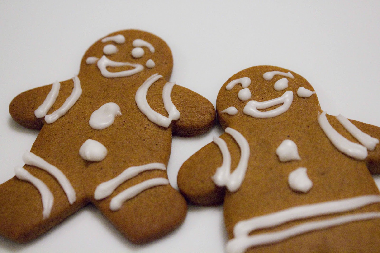 Corner Orchid: November 2010