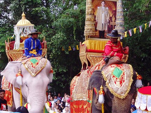 Exciting English: The story of the white elephant