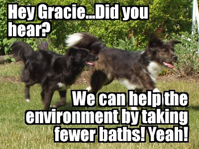 The Days of Johann, an agility dog!: It's Earth Day! Time to celebrate ...