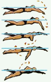 Crawl :: Raquelgrilo