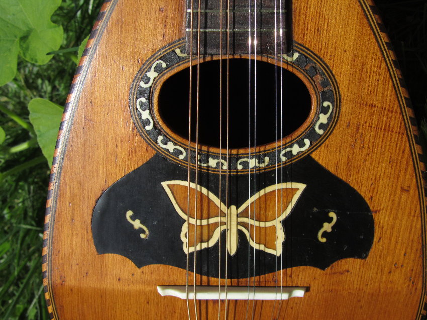 c.1910 Unmarked Butterfly Bowlback Mandolin