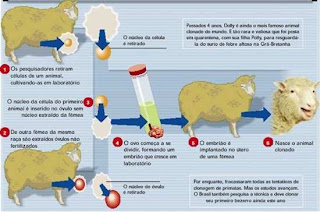 clonagem: O que é a Clonagem