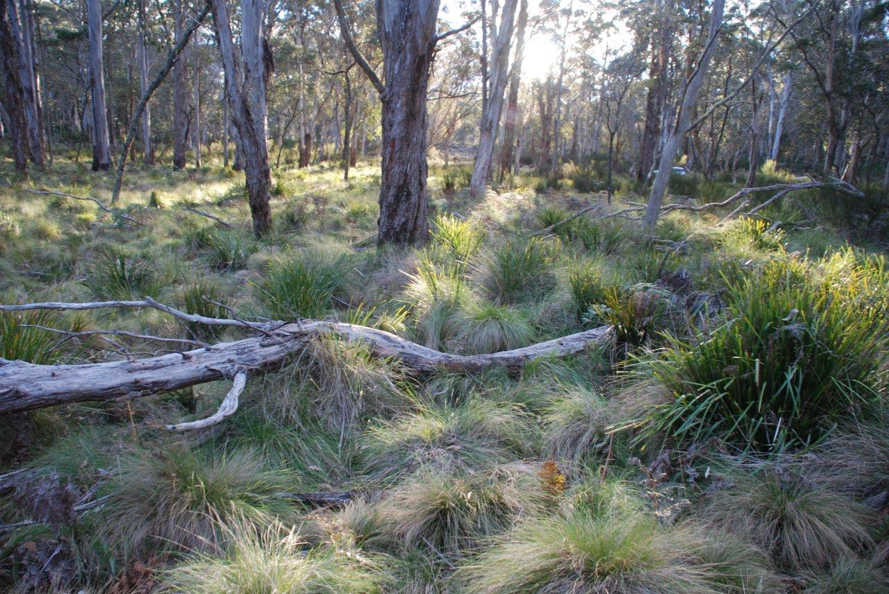 Devil Ark: Welcome to Devil Ark